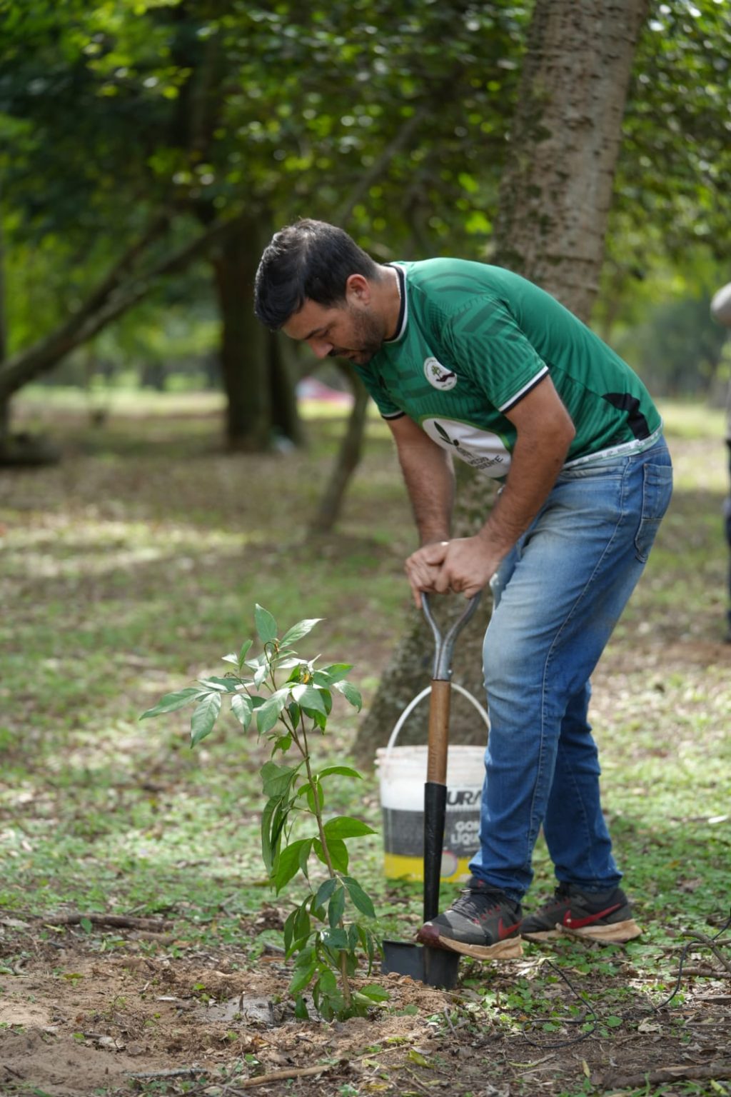 “Plantatón” en Ayolas para ampliar el cultivo del Arary, rica especie ...